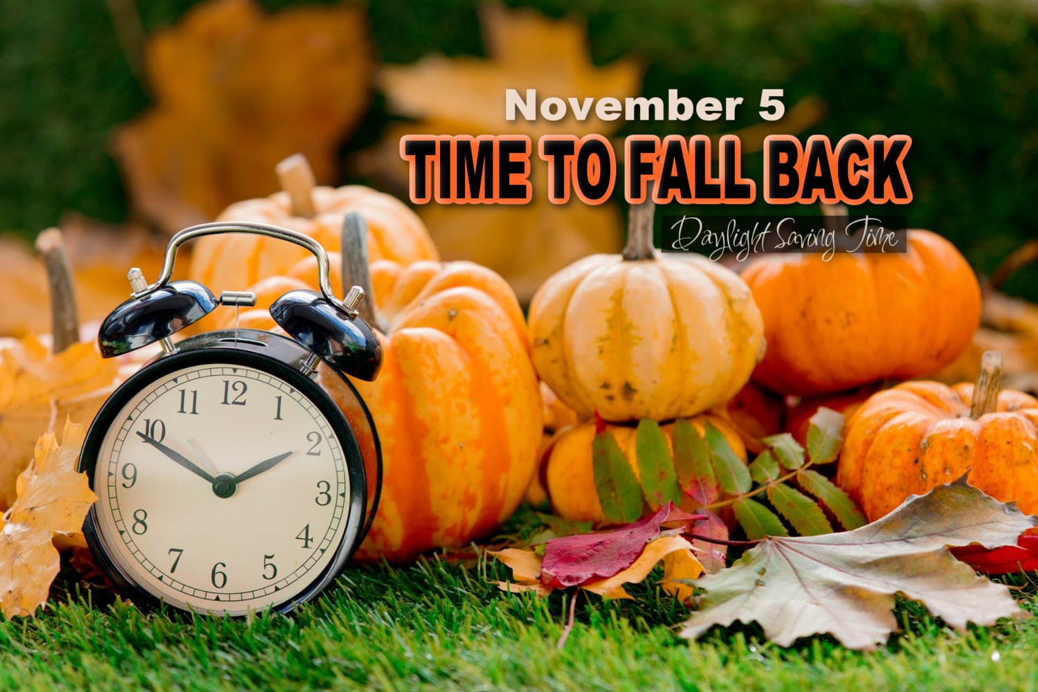 Daylight Savings reminder! – Victoria Palms Online Blog
