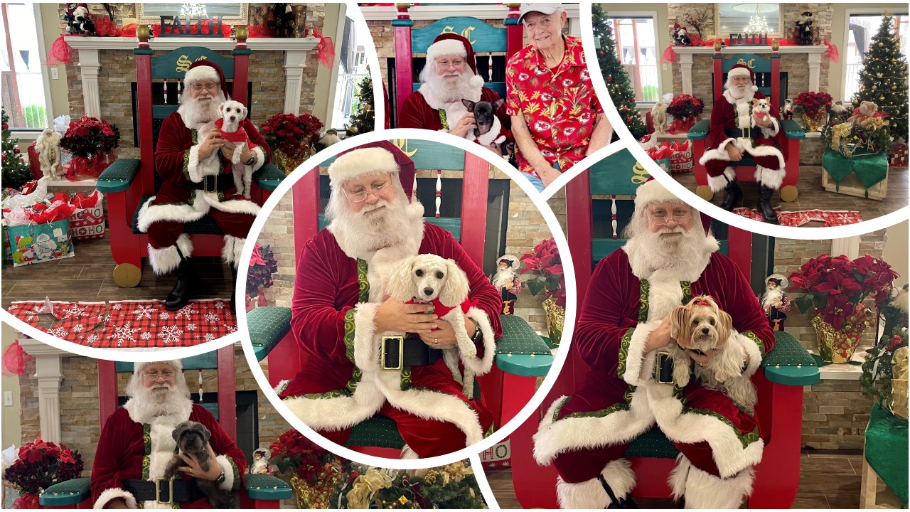 Santa Paws News! – Victoria Palms Online Blog